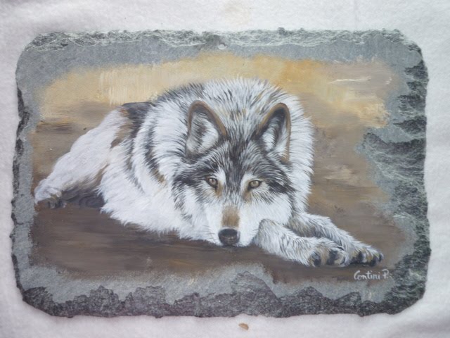 Ritrattista di animali: RITRATTI LUPI