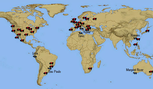 All Categories - Animals Globalized