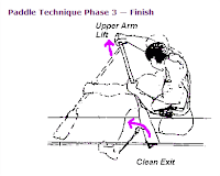 Belly's Paddle Page: The Basic Dragon Boat Paddling Stroke.