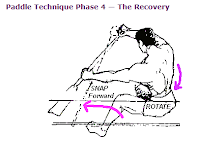 Belly's Paddle Page: The Basic Dragon Boat Paddling Stroke.