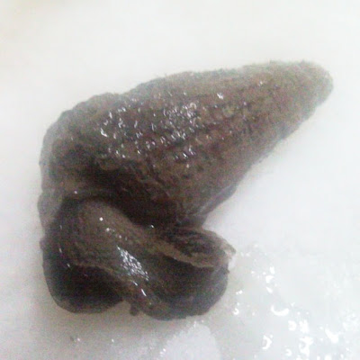 Abah Mila: Aktiviti Masa Santai