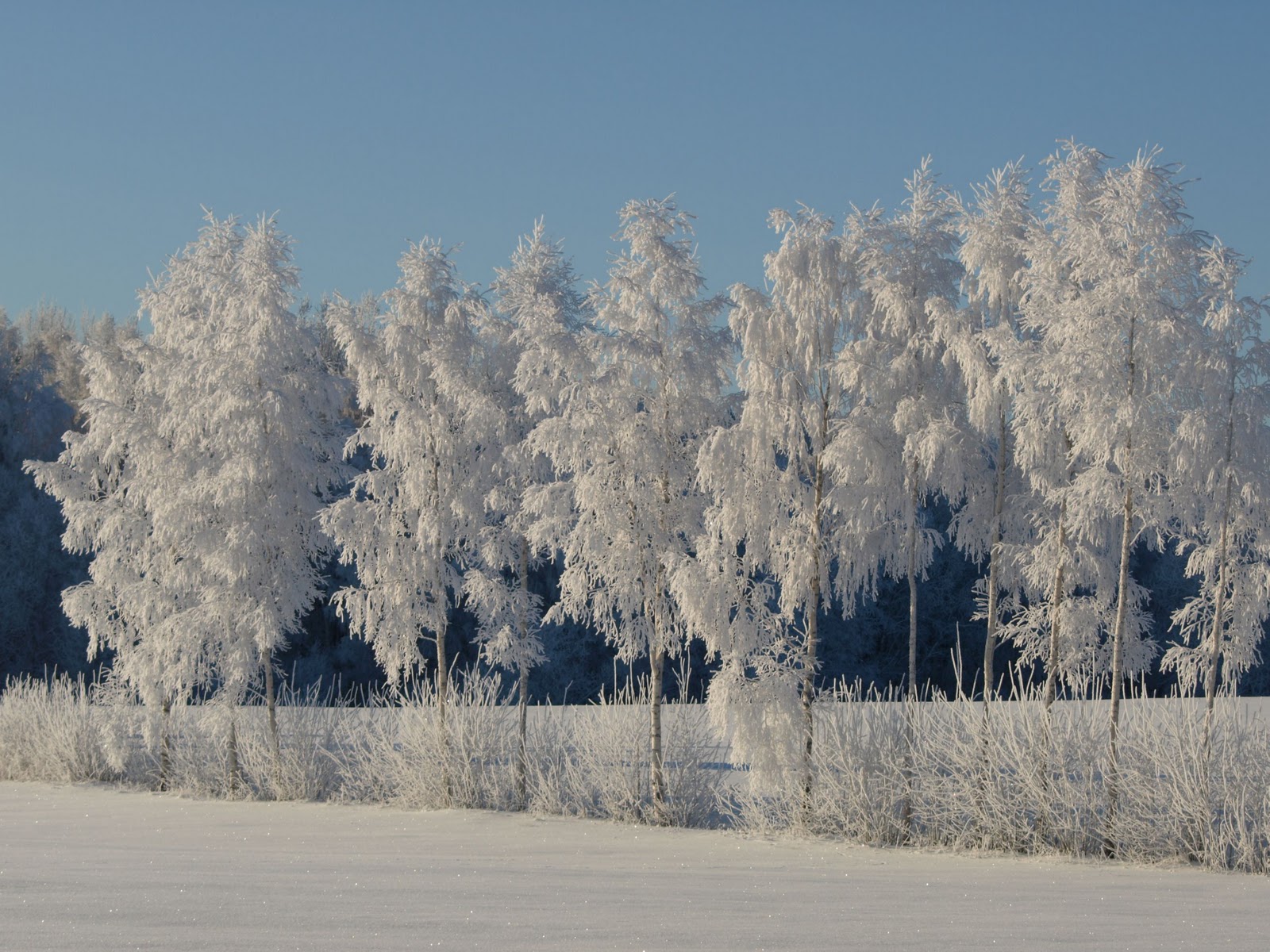 lihtsalt niisama: talv