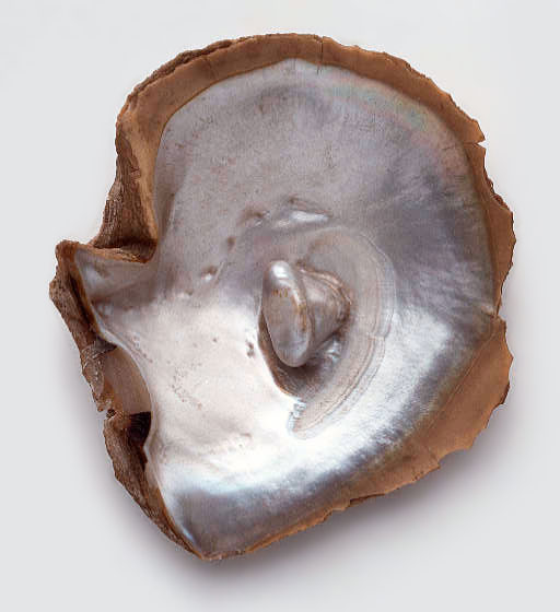 Minerales y piedras preciosas: PERLA 1