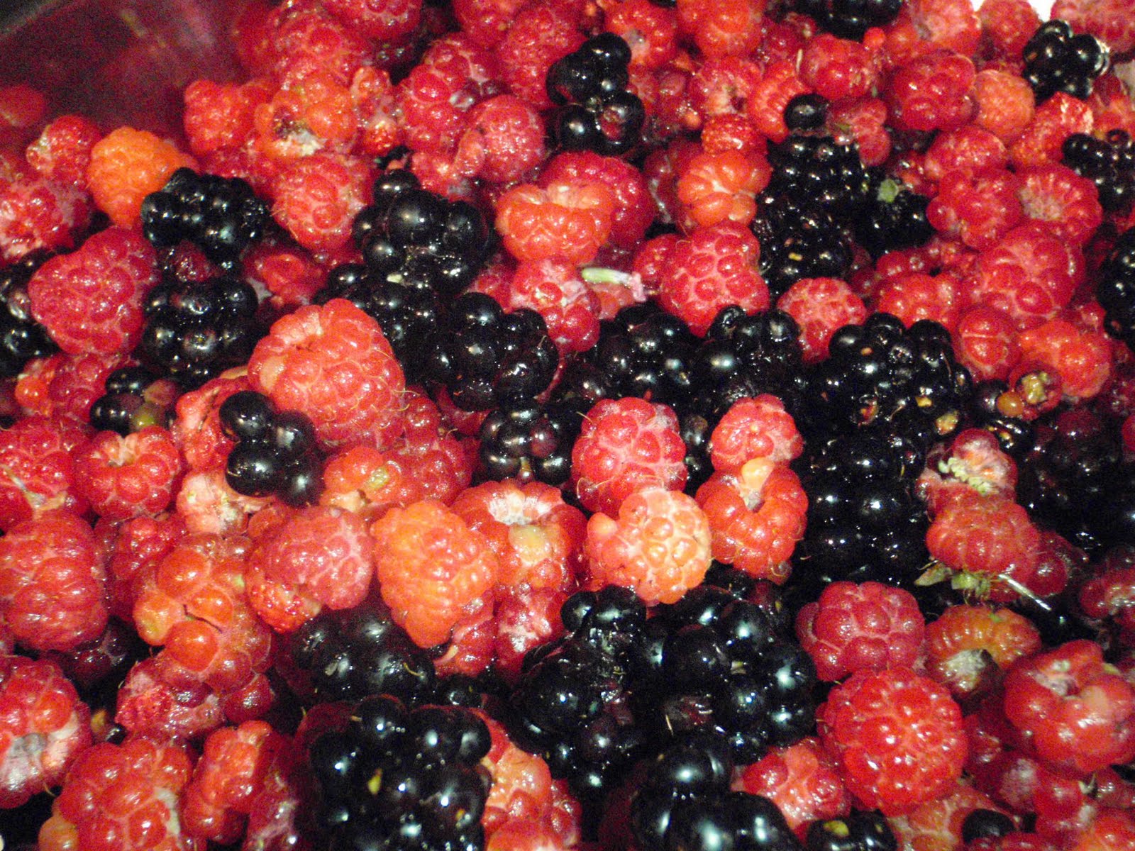 Mon carnet de cuisine: CONFITURE DE FRUITS DES BOIS