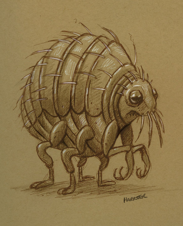 Steve Hubbard - CCAD