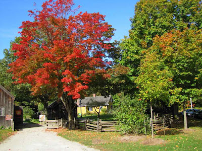 Snapshot Travel Blog: Fall Colors Bradley House Museums Mississauga