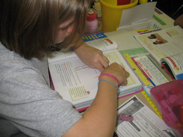 The Harris Hoppenings: The Sense of Touch-Science Experiment