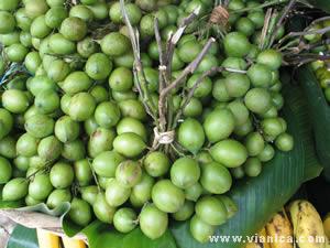 samuel_terry: el mamón (melicocea bijuga)