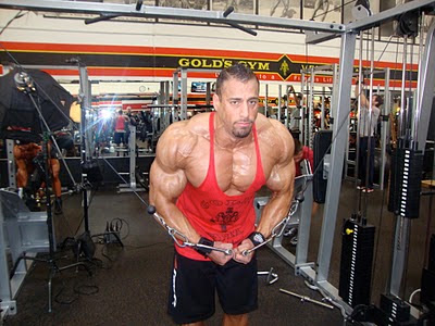 ERIC DILAURO ELITE PHYSIQUE & NUTRITION PERFORMANCE COACH : N.P.C ...