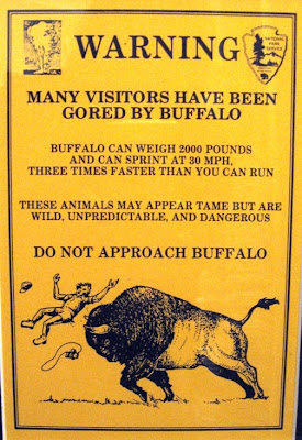 All This Is That: On The Road to Yellowstone and Chico Hot Springs ...