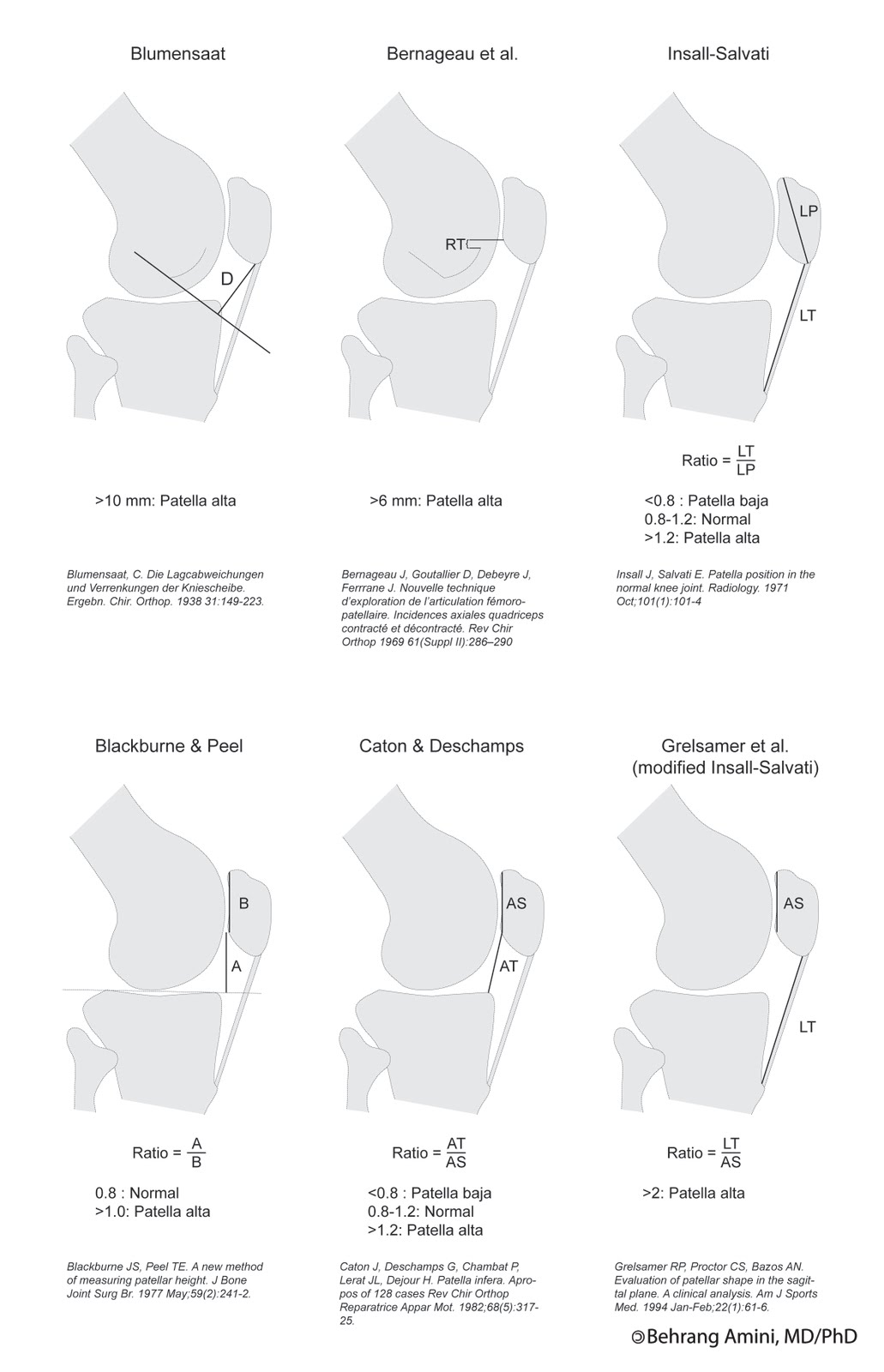 Roentgen Ray Reader: May 2010