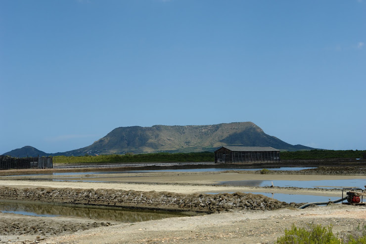 LAS MATAS DE SANTA CRUZ