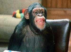 TREMENDO TIME: LINK (1986)