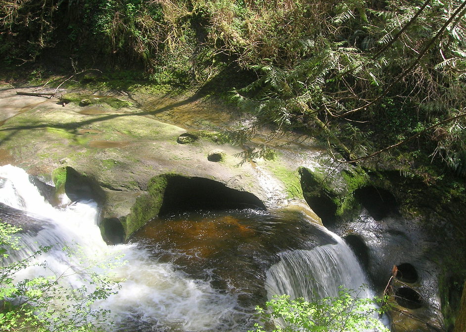Pawn of the Pumice Castle: To study or not to study: a Metamorphic ...