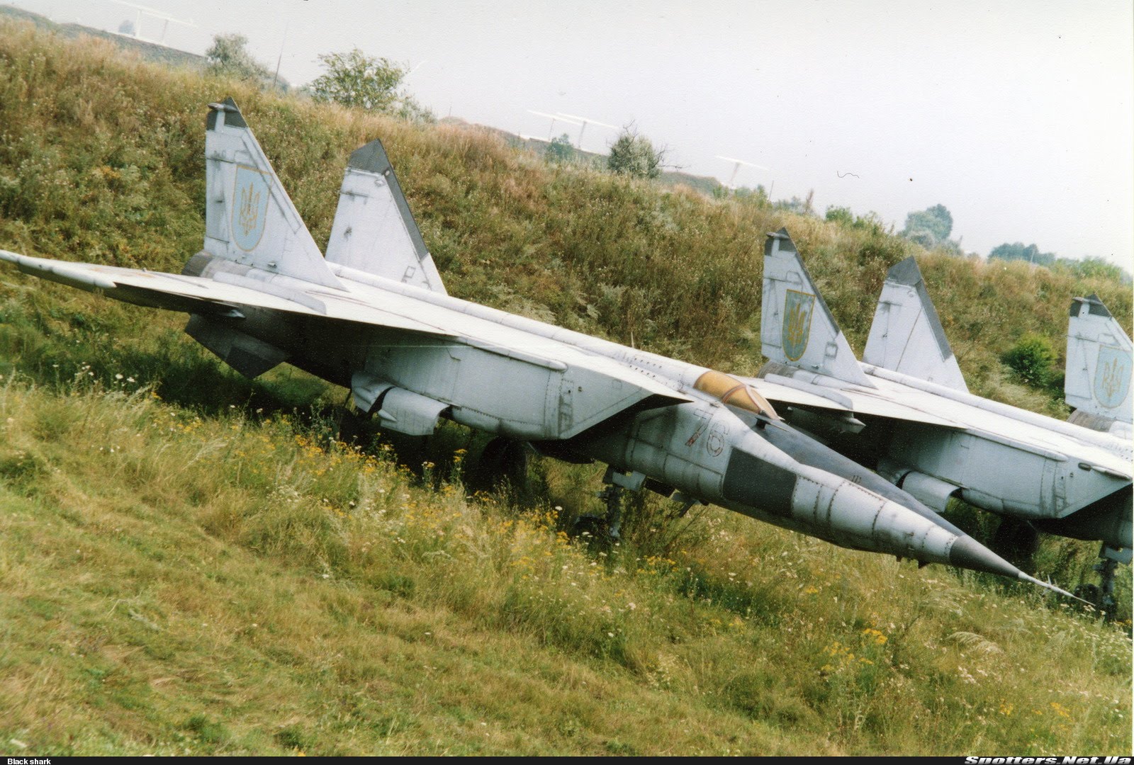 EL HANGAR DE TJ: MIG-25 ARGELINOS