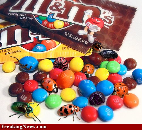 Bicheler, el blog de Bris.: Dulces momentos.