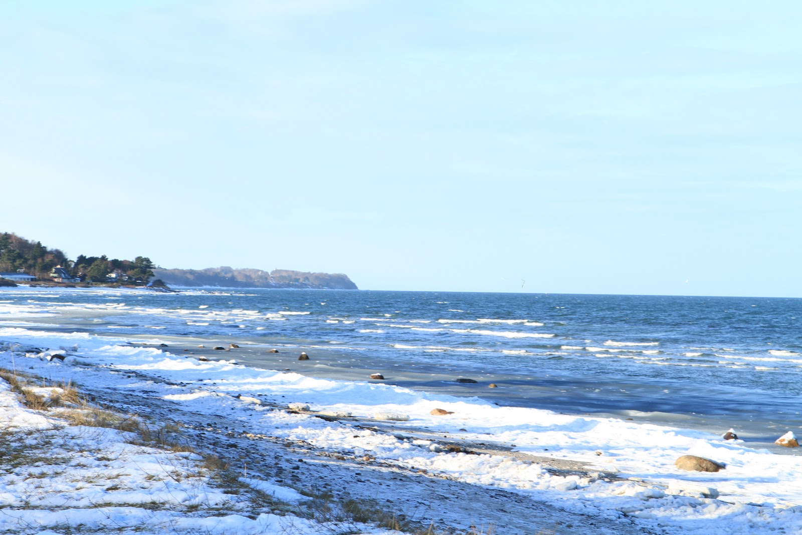 Et haveliv med sygdom: En tur på stranden