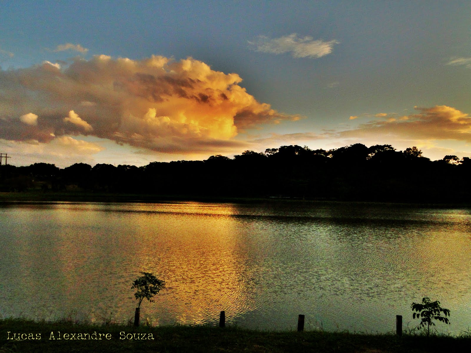 iKoNE foTO deSIGN: Fim de Tarde no Parque Municipal