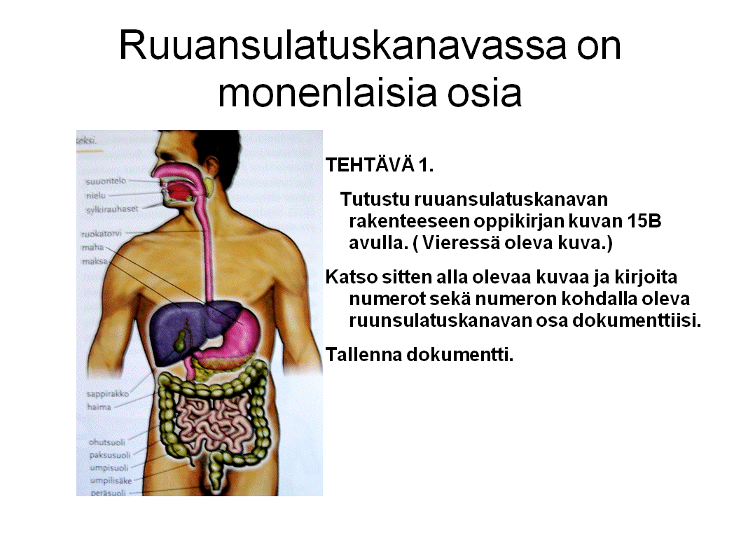 Ysin urakat: Biologia
