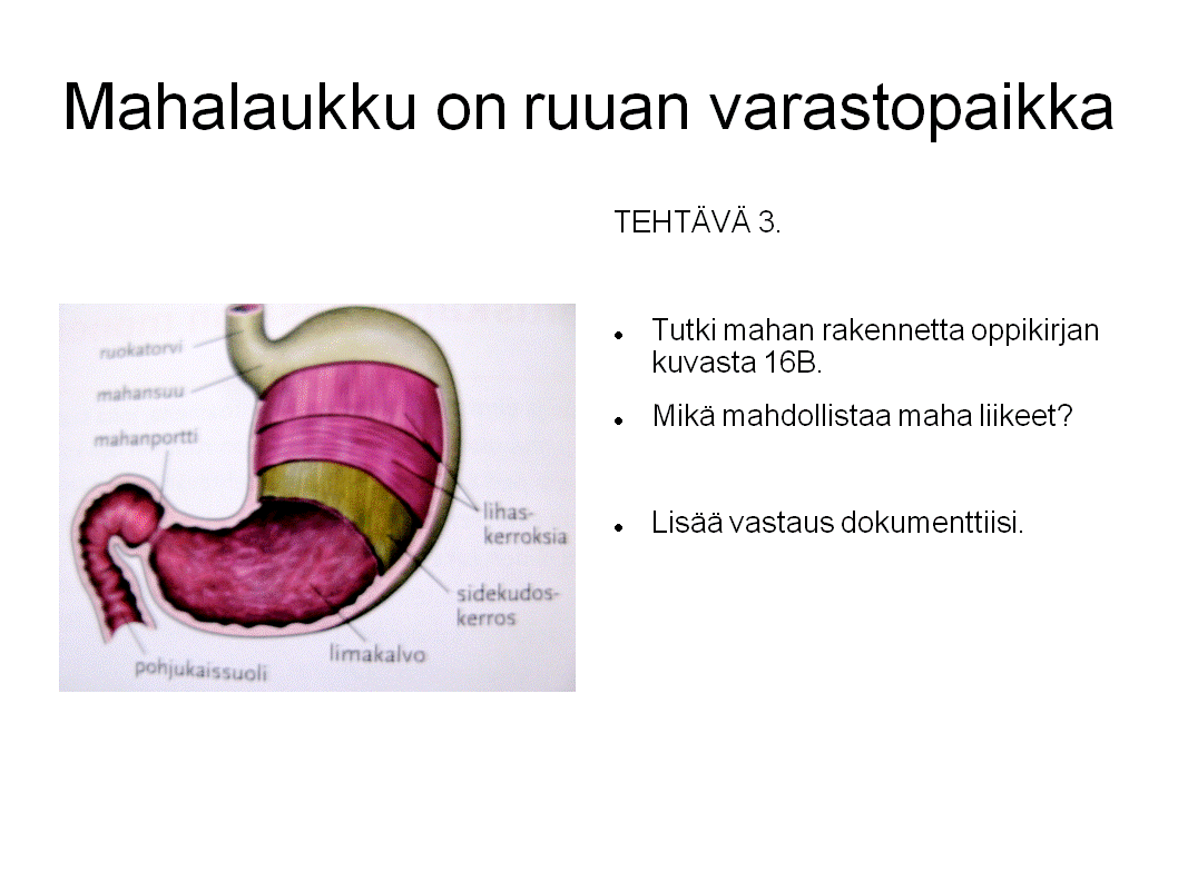 Ysin urakat: Biologia