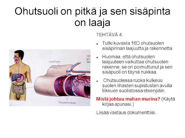 Ysin urakat: Biologia