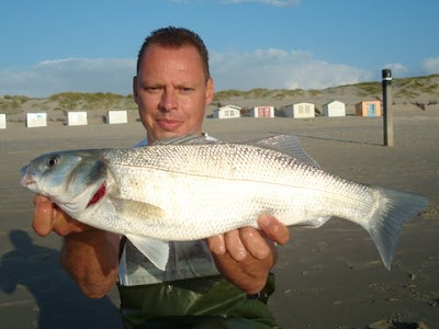 Zeebaarsshop.nl Blog - Dutch Bass Fishing: Zeebaars op Texel