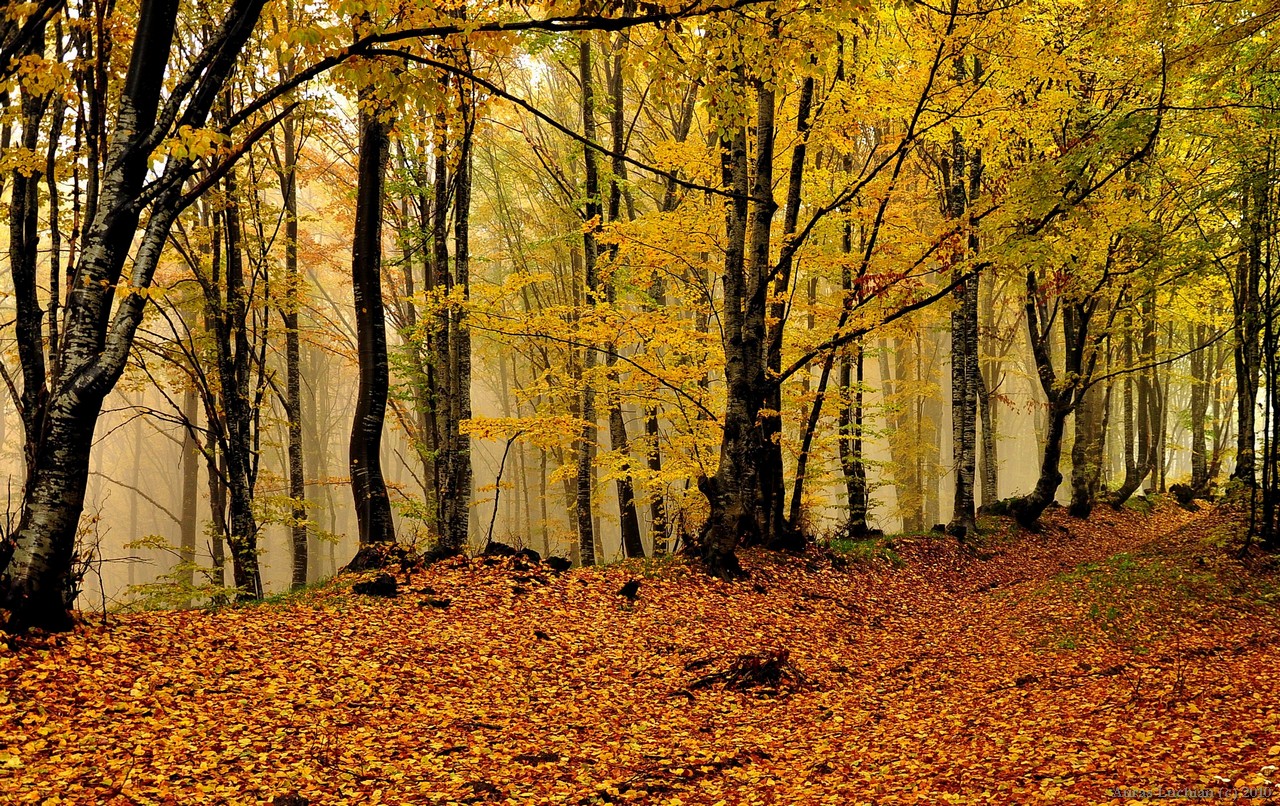 fotostory: Culori de octombrie - Brasov!