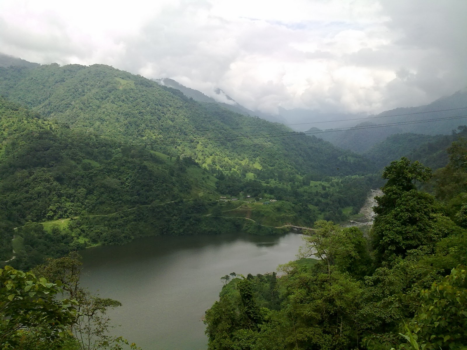 Rainforest of Assam: PHOTO GALLERY