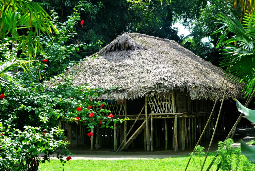 Rainforest of Assam: PHOTO GALLERY