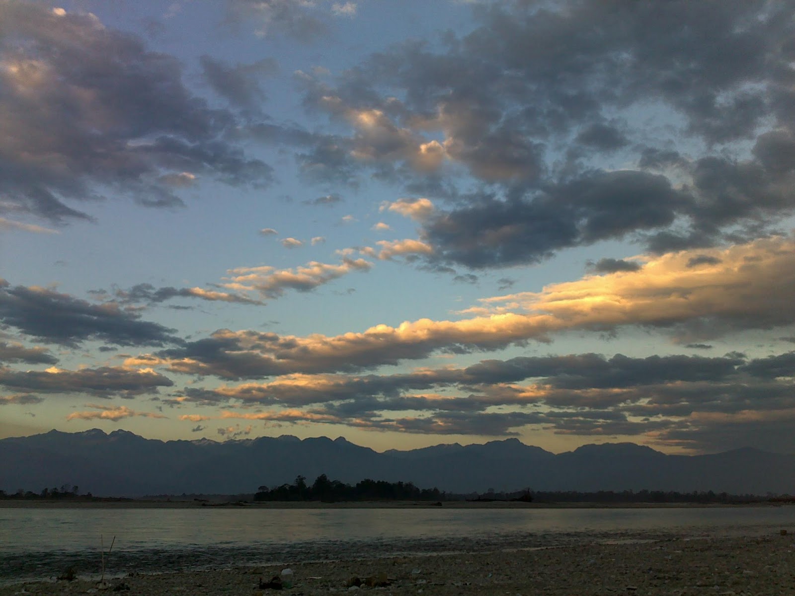 Rainforest of Assam: PHOTO GALLERY