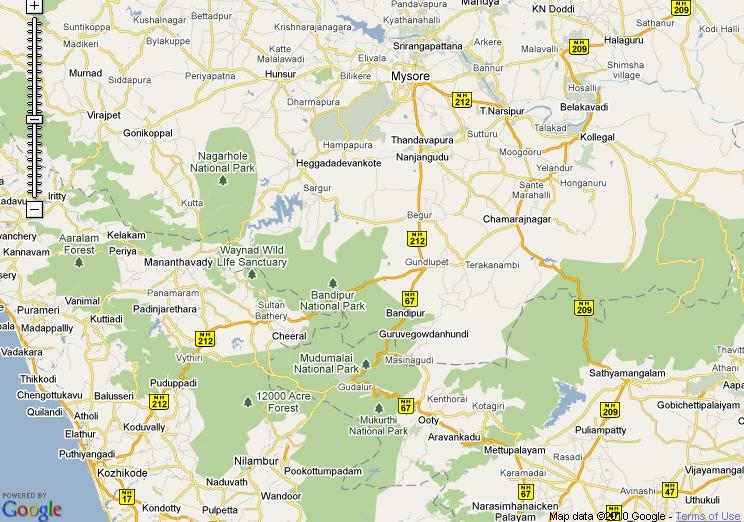 MARIETTE'S BACK TO BASICS: {We met 4 Baby Elephants in South India ...