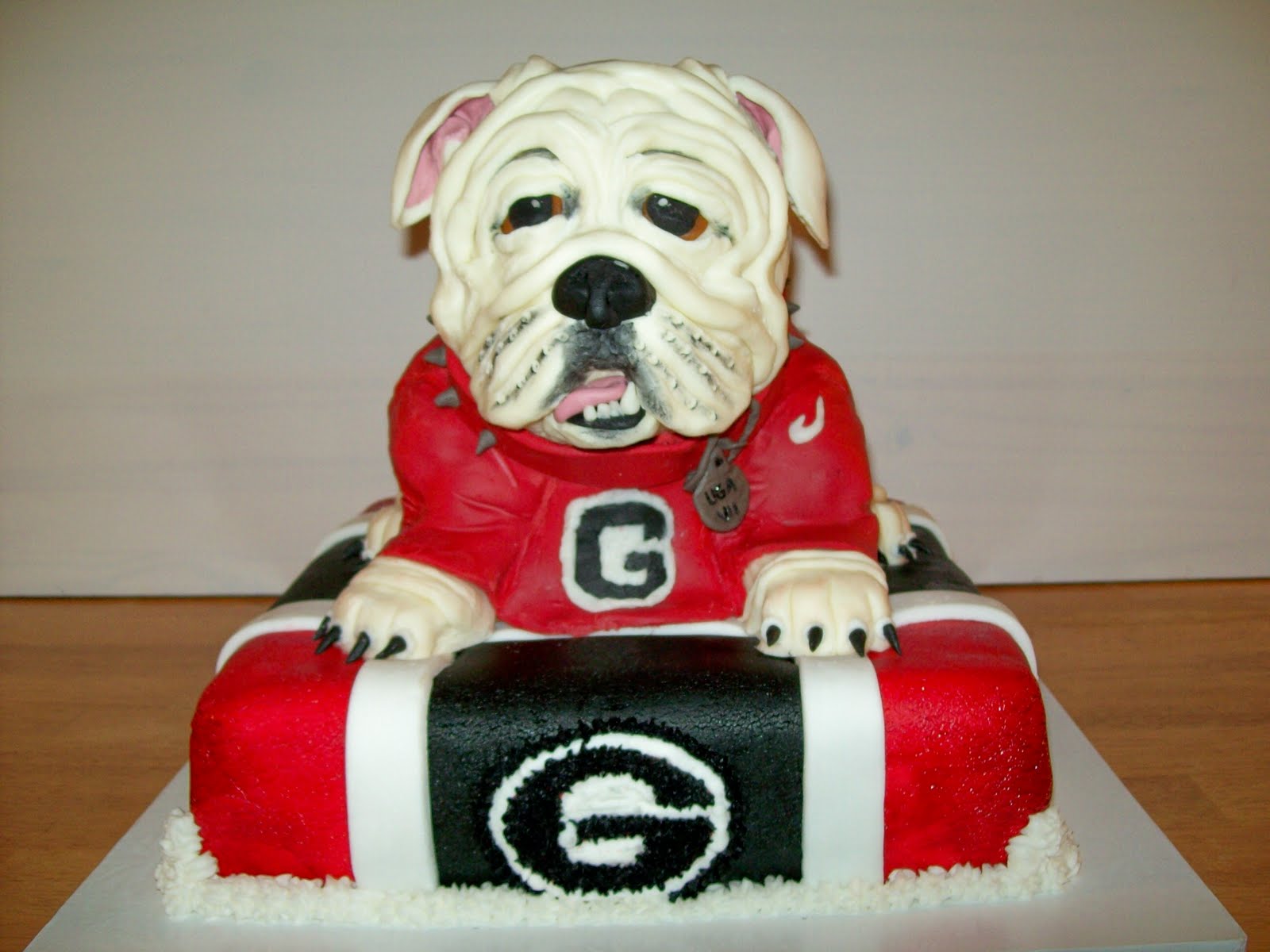 USA CAKE | Georgia bulldogs cake, Bulldog cake, Georgia bulldogs