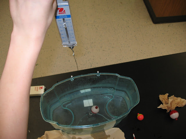 Mr. Williams 6th Grade Science Blog: Measuring the Buoyant Force