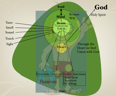 Orthodox Way of Life: Nature of Soul, Mind, Brain and Heart