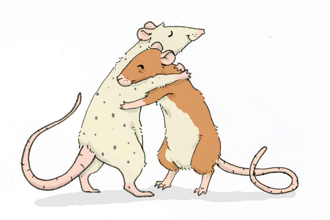 PPT - Dalykas, ugdymo sritis: Tema: Klasė: Priemonės paskirtis ...