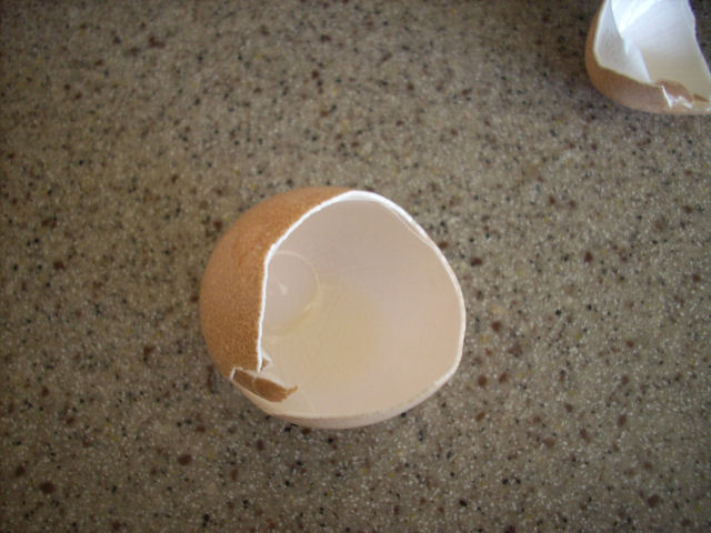 Whistling Wind Farm: April 2010