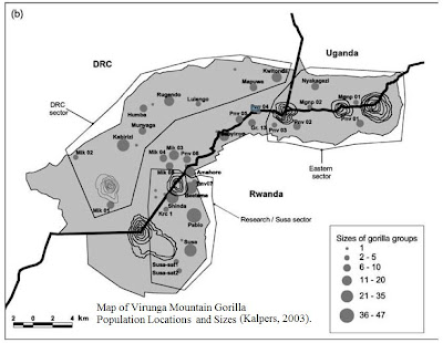 Mountain Gorilla: Mountain Gorilla Population Graph