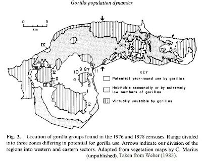 Mountain Gorilla: Mountain Gorilla Population Graph