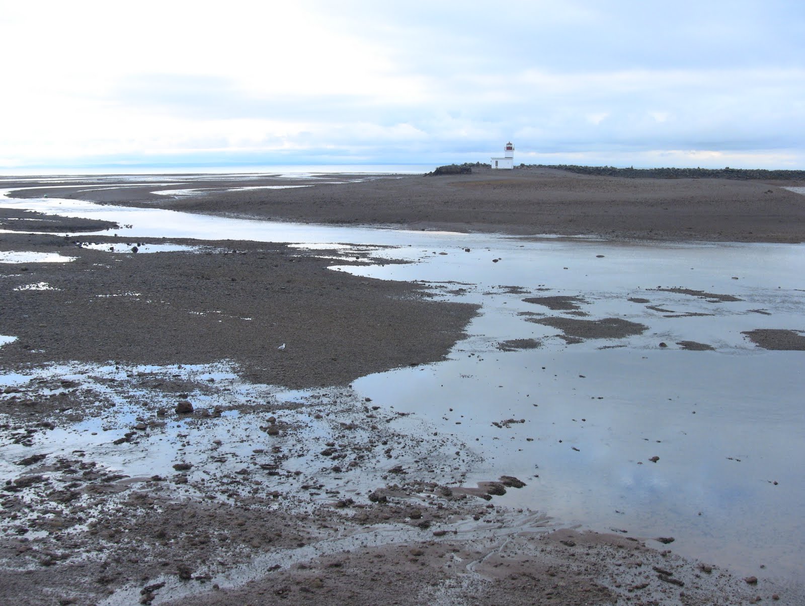 Bay of Fundy Blog: Biggest tides of the year today!