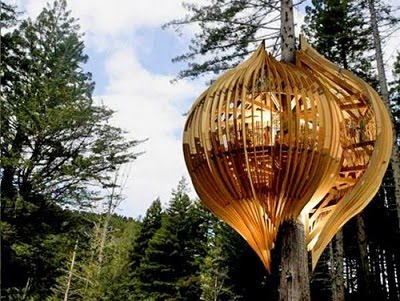 Amazing Images Blog: Amazon Tree Houses, Beautiful