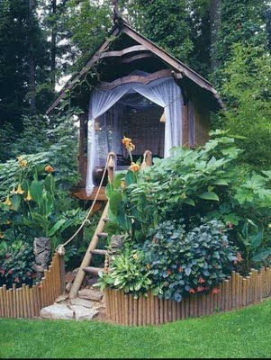 Amazing Images Blog: Amazon Tree Houses, Beautiful