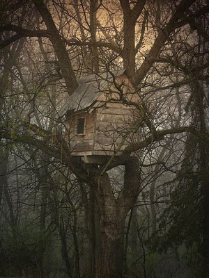 Amazing Images Blog: Amazon Tree Houses, Beautiful