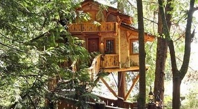 Amazing Images Blog: Amazon Tree Houses, Beautiful