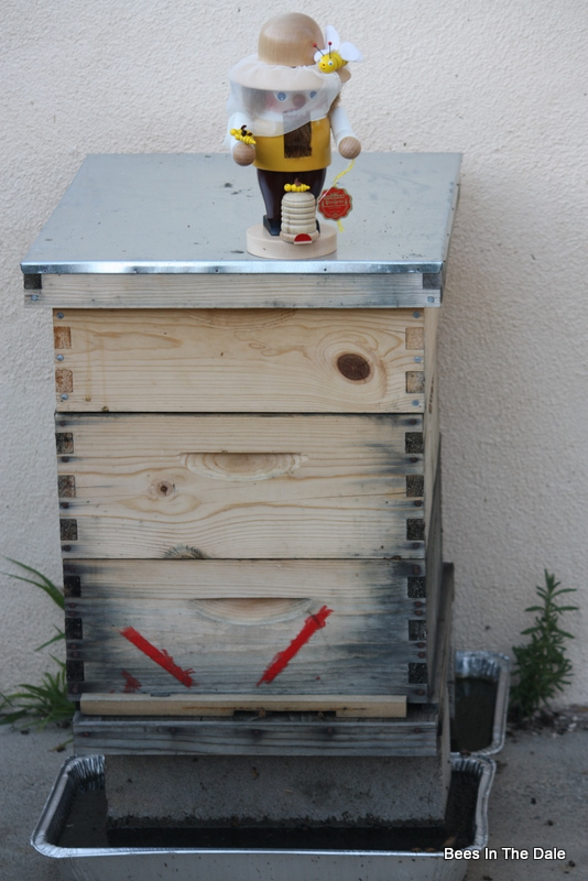 The Buzz In The Dale: A Bee-ful Christmas