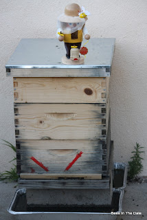 The Buzz In The Dale: A Bee-ful Christmas