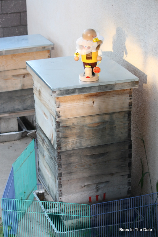 The Buzz In The Dale: A Bee-ful Christmas