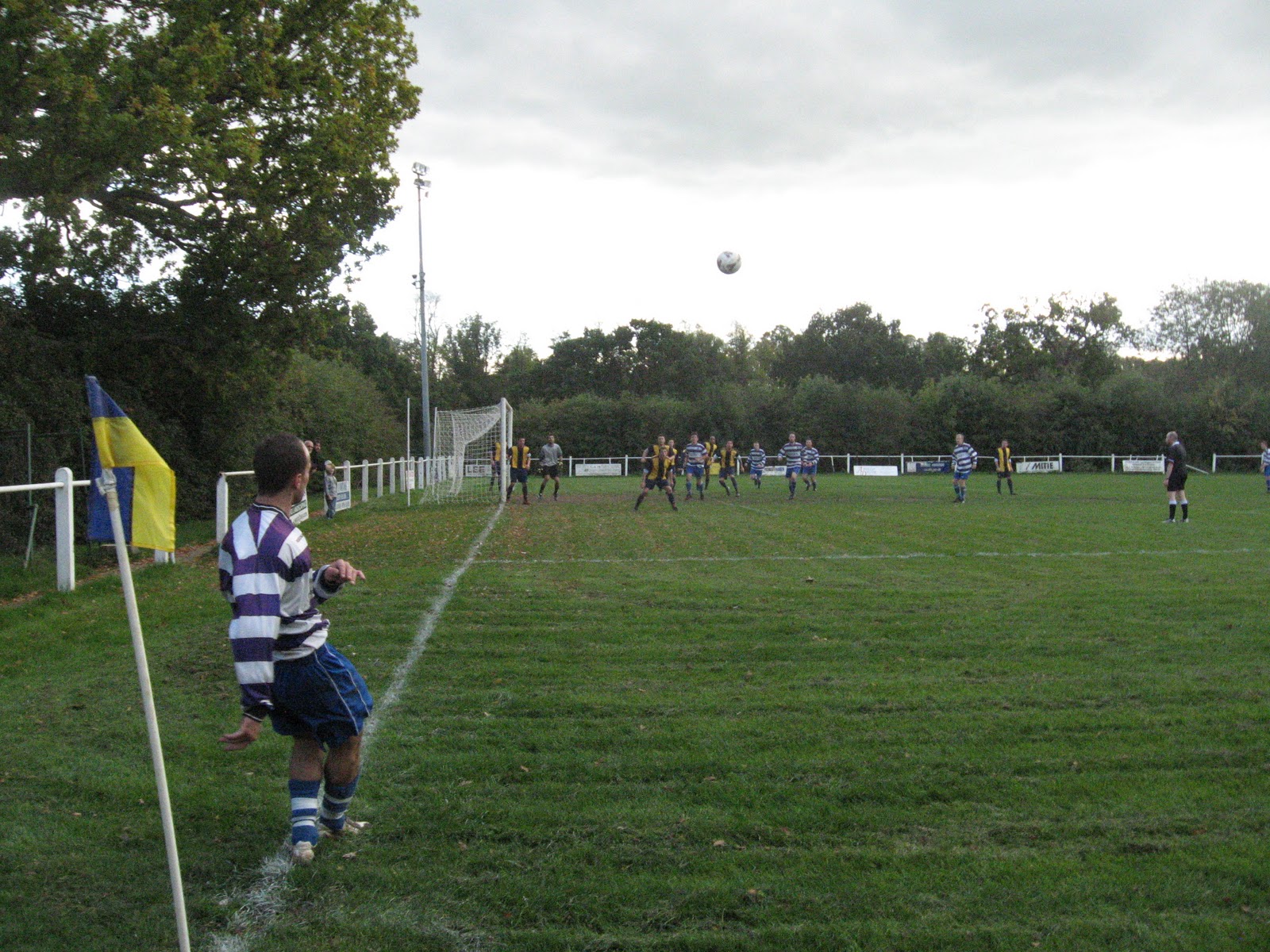 Modus Hopper Random: Falcons Seen Offley