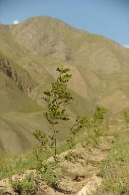 Road Trip to Afghanistan: Baharak - Afghanistan