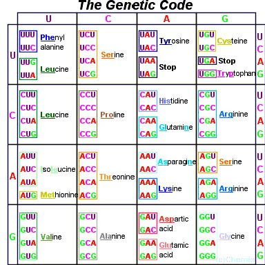 Protein Engineering: Genetic code