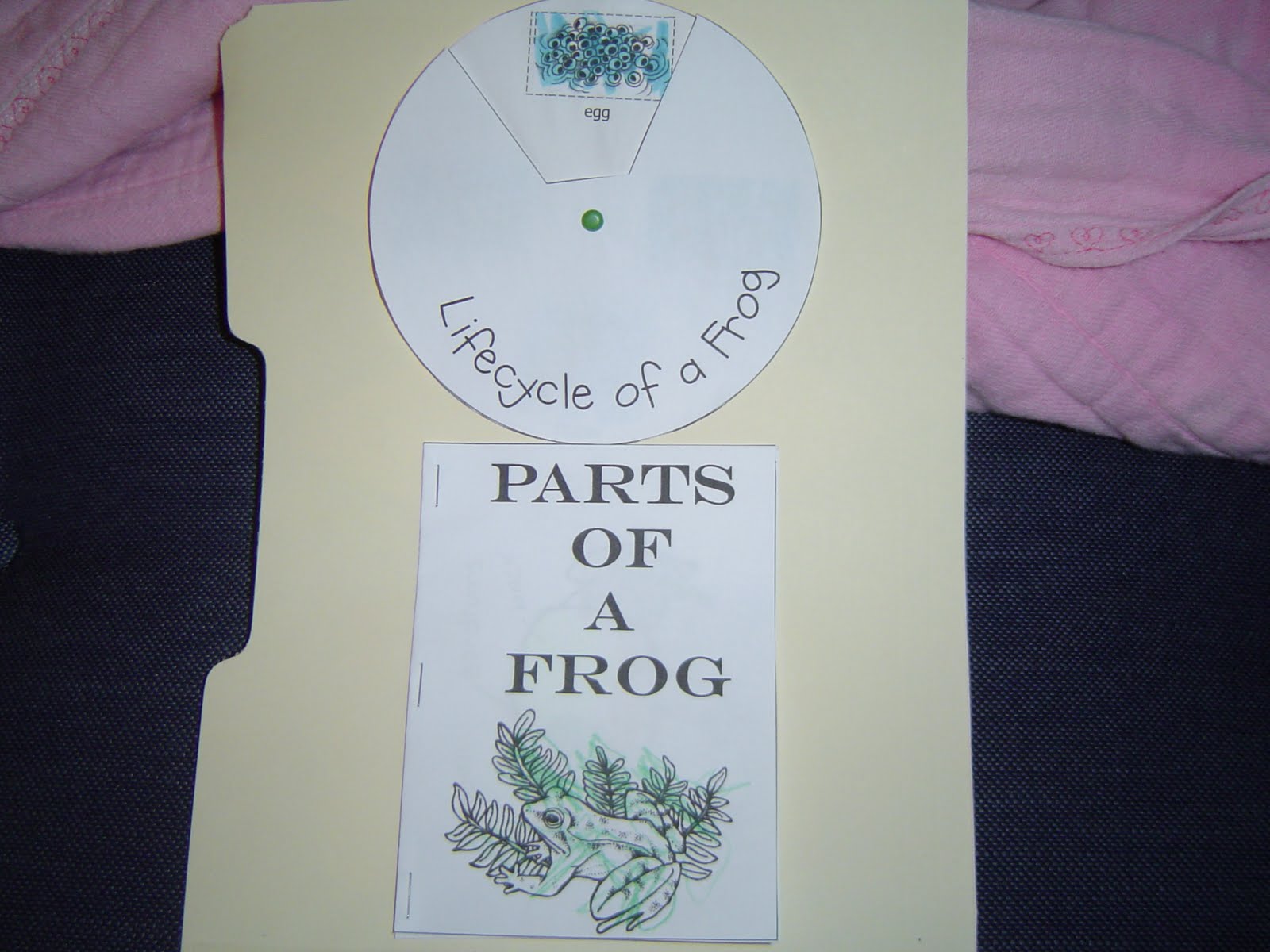 My Two Happy Homeschoolers: Frog Lapbook